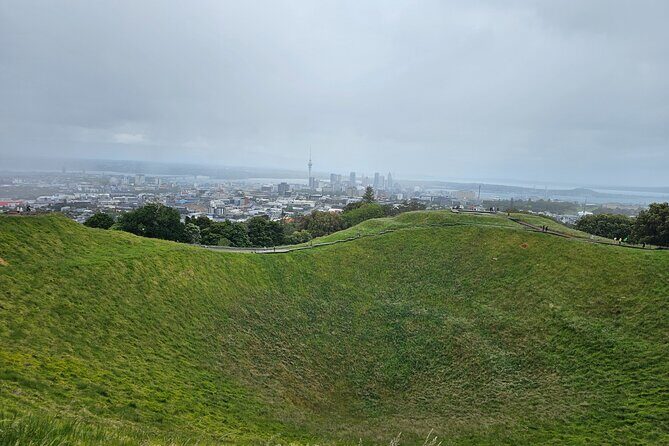 Auckland City Half Day Tour - Introduction