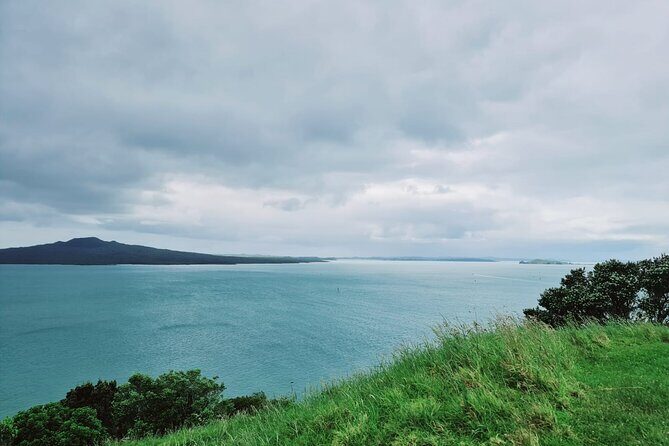 Auckland City Half Day Tour - FAQ
