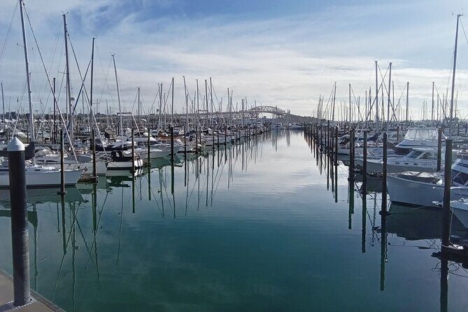 Auckland City Halfday Private Tour - What You Can Expect: A Well-Rounded Journey
