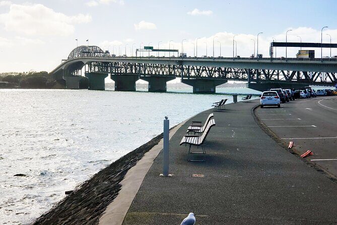 Auckland City Halfday Private Tour - Authentic Feedback and Highlights