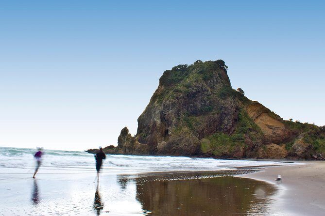 Auckland City Highlights, Afternoon Piha Beach & Rainforest Tour - An In-Depth Look at the Tour Experience