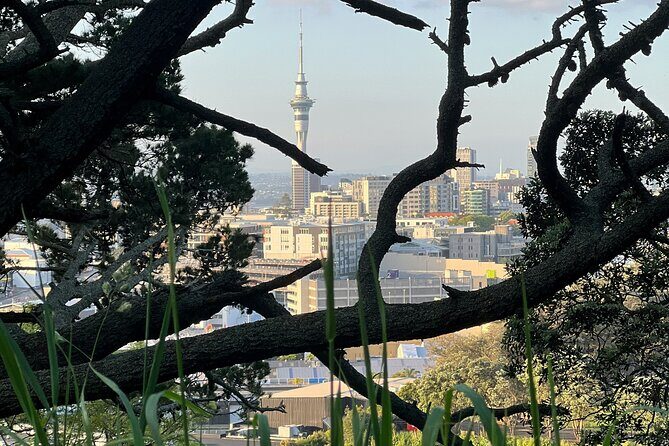 Auckland City Highlights and Hidden Gems Half Day Tour - The Experience and Its Value