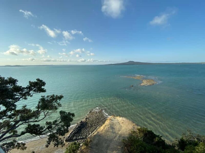 Auckland: City Highlights and Native Forest Experience - Authentic Experience and Cultural Insights