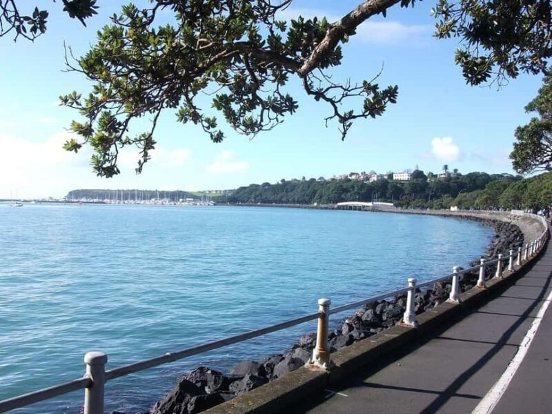 Auckland: City Highlights and Native Forest Experience - Who This Tour Is Best For