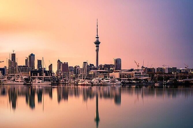Auckland City Highlights Full Day Tour - Auckland City Highlights Full Day Tour Review