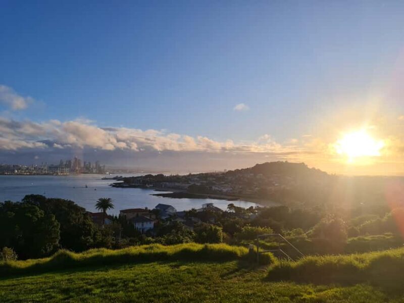 Auckland City Highlights Half Day Tour - Quality of Guides and Tour Experience