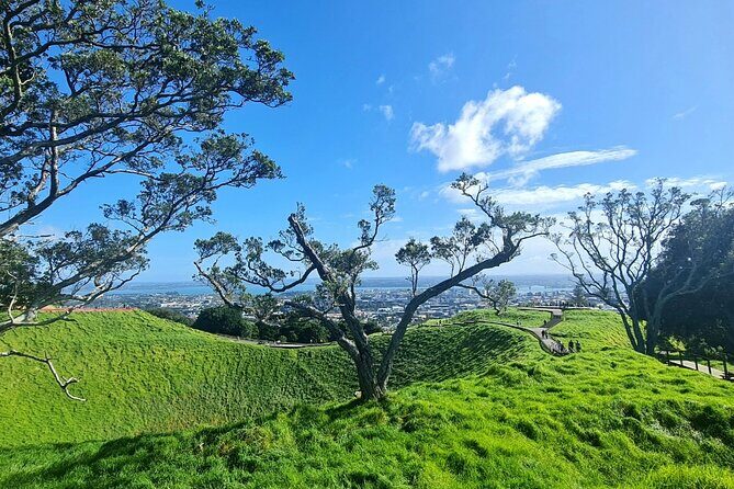 Auckland City Highlights Half Day Tour - What Travelers Are Saying