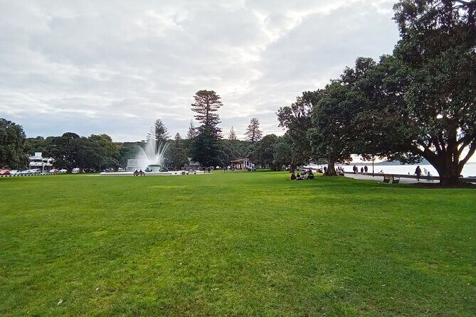 Auckland City Highlights Private Tour - Authentic Traveler Insights