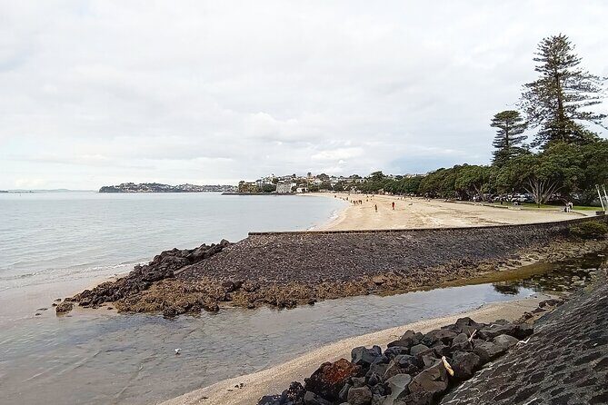 Auckland City Highlights Private Tour - Final Thoughts: Is This Tour Right for You?