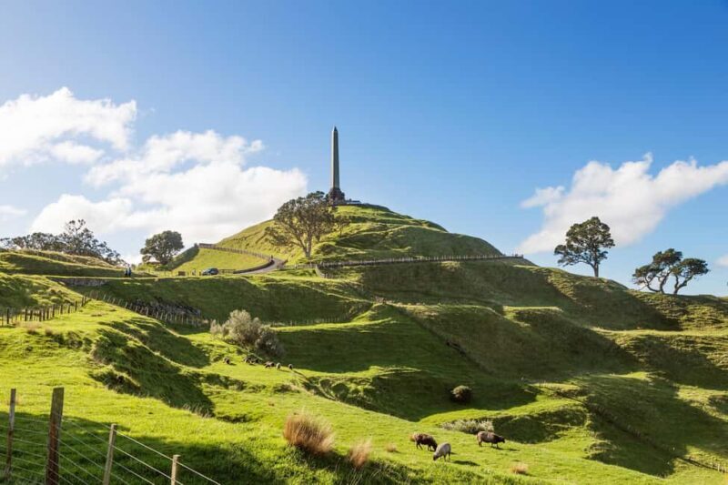 Auckland: City Highlights Private Tour - An Overview of the Tour Experience