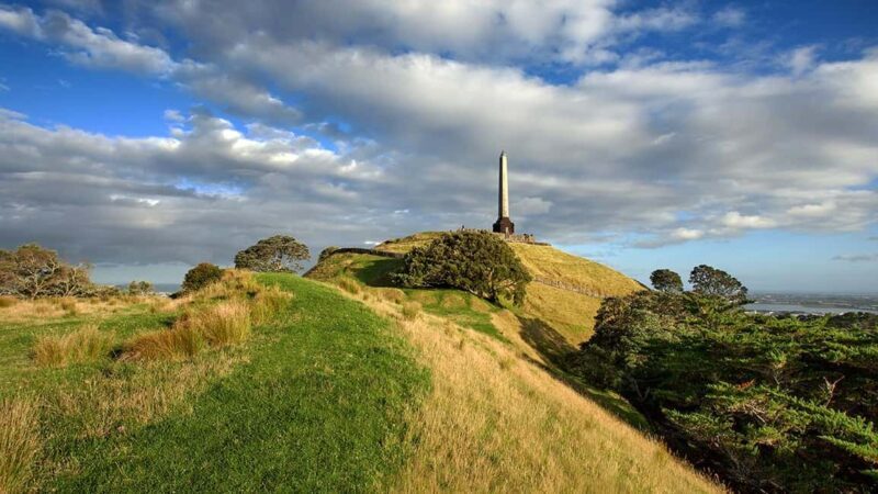 Auckland City Highlights Small-Group Tour (Half-Day) - Key Points