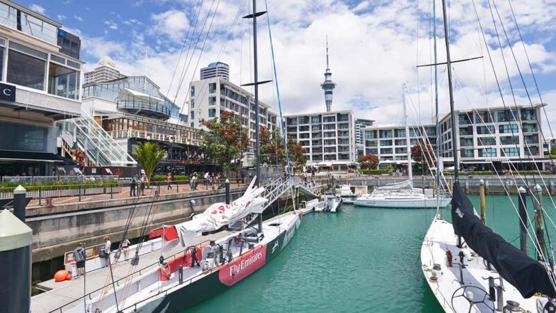 Auckland City Highlights Small-Group Tour (Half-Day) - Authentic Experiences & Authenticity
