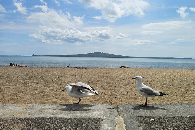 Auckland City Highlights Tour - Michael Joseph Savage Memorial Park: Panoramic Views and Honoring Leaders