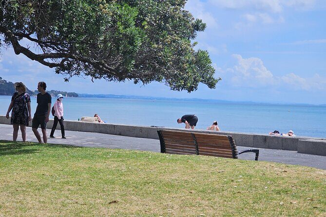 Auckland City Highlights Tour - What Travelers Say