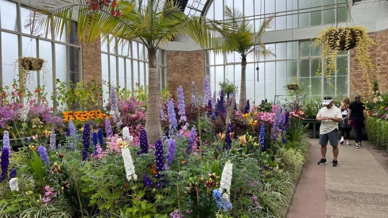 Auckland CITY HIGHLIGHTS Tour with Hotel Pickup - An In-Depth Look at the Auckland Highlights Tour