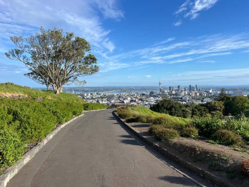 Auckland CITY HIGHLIGHTS Tour with Hotel Pickup - Who Should Consider This Tour?