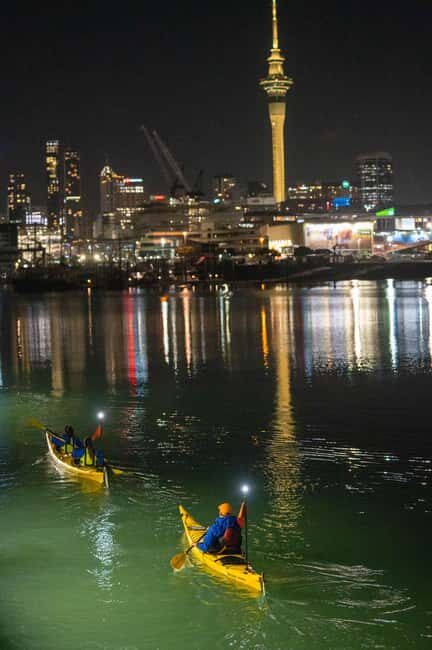 Auckland: City Lights Night Kayak Tour - Key Points