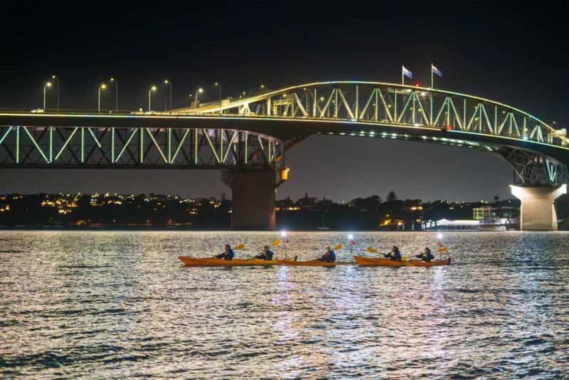 Auckland: City Lights Night Kayak Tour - An Honest Look at the Experience