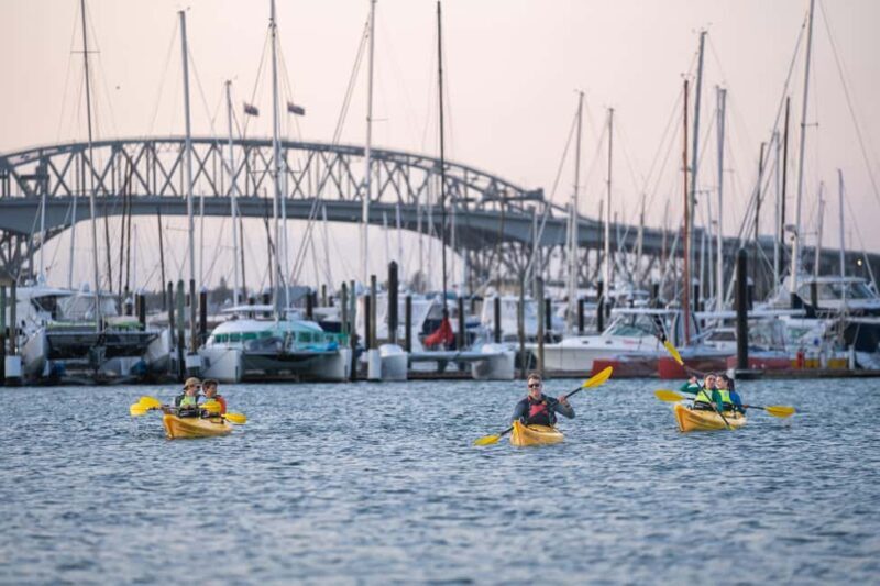 Auckland: City Lights Night Kayak Tour - FAQ