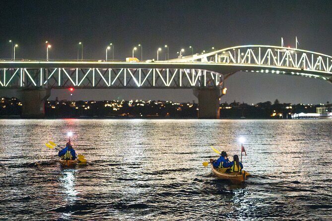 Auckland City Lights Night Kayaking Tour - The Experience in Practice: What You’ll Actually Encounter