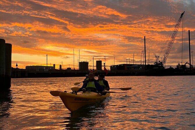 Auckland City Lights Night Kayaking Tour - FAQs