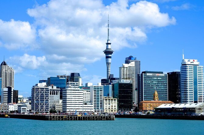 Auckland City & Native Forest Experience - Fully Guided Day Tour - Exploring Auckland with the Fully Guided City & Native Forest Experience