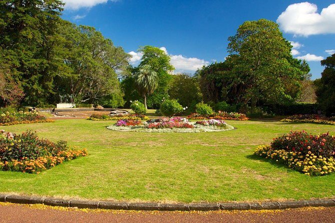 Auckland City & Native Forest Experience - Fully Guided Day Tour - Final Thoughts: Is It Worth It?