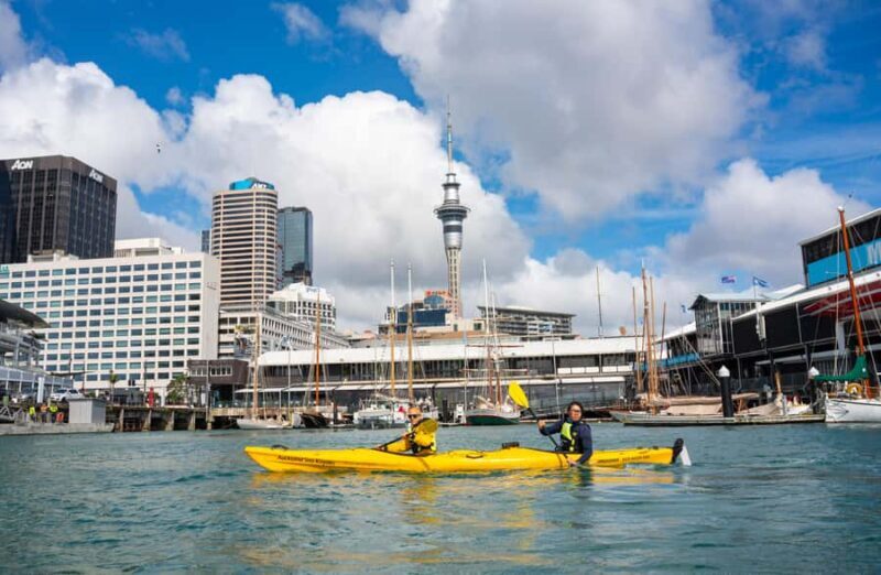Auckland: City Scenes Kayak Tour - Key Points