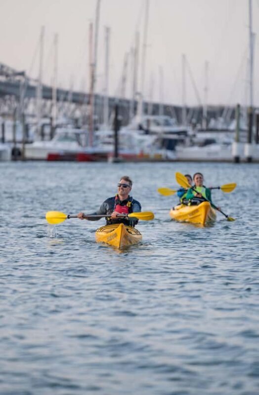 Auckland: City Scenes Kayak Tour - Who Will Love This Tour?