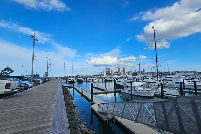 Auckland City Small Group Private Tour - Who This Tour Is Best For