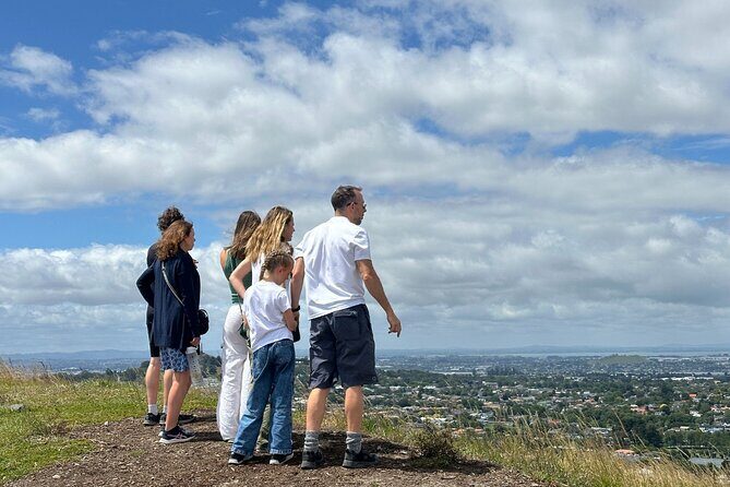 Auckland City Top Sights Half Day Tour - Small Group - Who Should Consider This Tour?