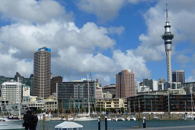 Auckland City Top Sights Half Day Tour - Small Group - FAQs