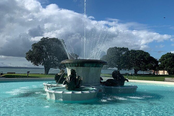 Auckland City Tour  Fast, Fun & Full of Views! (Half-Day) - Final Thoughts