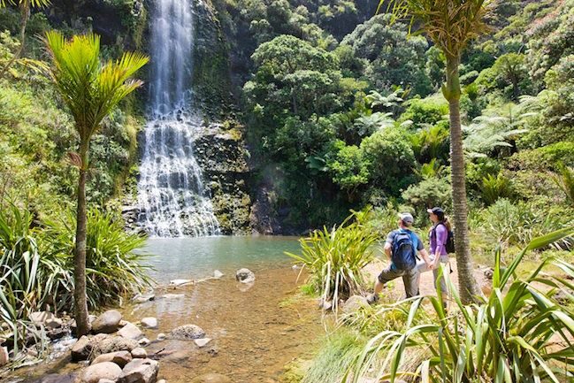 Auckland City & West Coast Luxury Tour - Final Thoughts