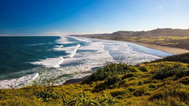 Auckland: Coast to Coast Private Eco Tour - Exploring Auckland’s Coastline in Style and Substance