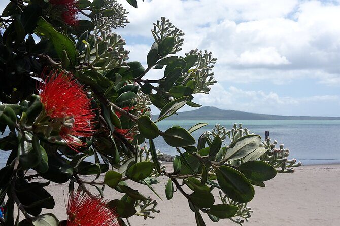 Auckland Coast to Coast tour - Key Points