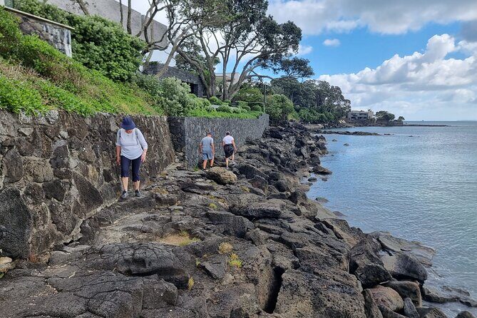 Auckland Coast to Coast tour - Who Would Love This Tour?