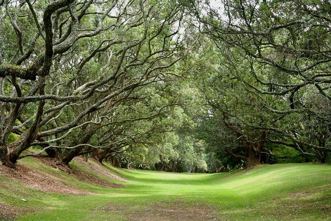 Auckland Coastal Experience - Small Group City & Beach Tour Incl. Wine Tasting - Final Thoughts