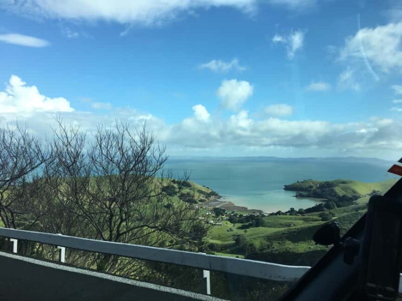 Auckland: Coromandel Beach, Caves & Forest Private Tour - Final Thoughts: Is This Tour Worth It?