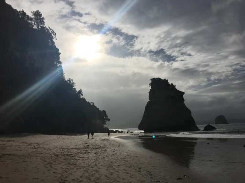 Auckland: Coromandel Day Tour including Hot Water Beach - Exploring the Coromandel with a Day Tour from Auckland