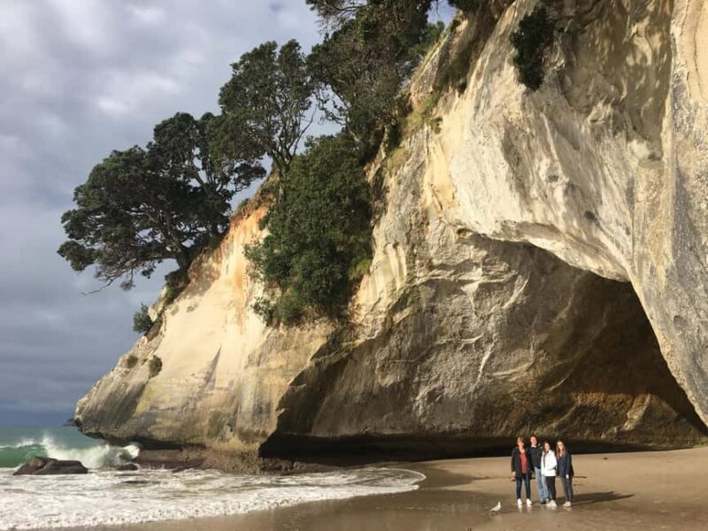 Auckland: Coromandel Day Tour including Hot Water Beach - A Well-Designed Day in the Coromandel