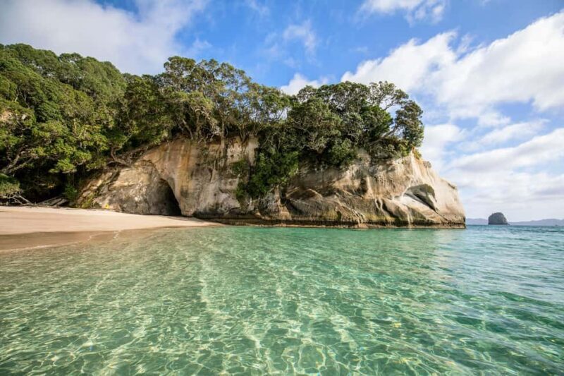 Auckland: COROMANDEL Driving Creek & CATHEDRAL COVE day tour - Key Points