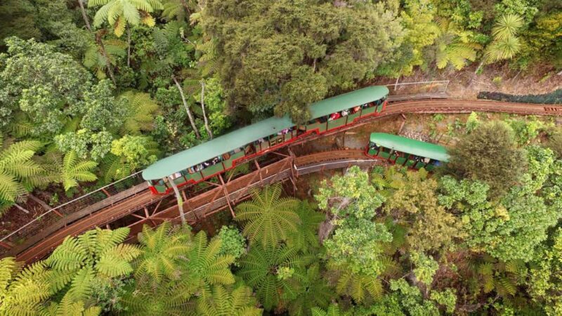 Auckland: COROMANDEL Driving Creek & CATHEDRAL COVE day tour - Who Should Consider This Tour?
