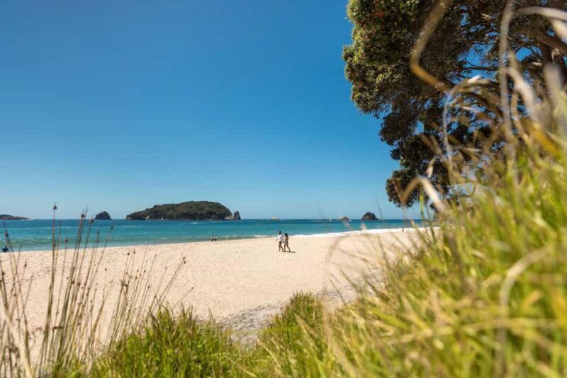Auckland: COROMANDEL Driving Creek & CATHEDRAL COVE day tour - Final Thoughts