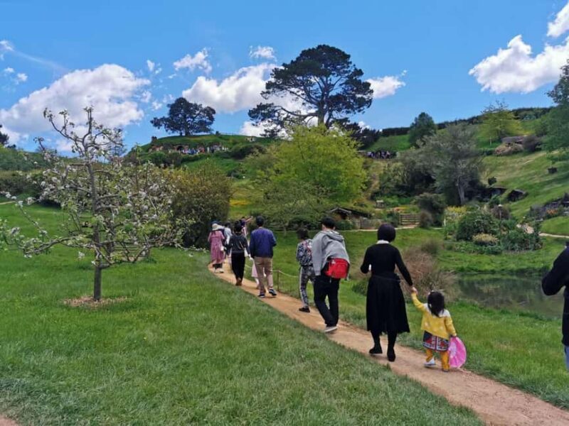 Auckland Day Trip: Explore Hobbitons Magic & Vintage Cars - The Value for Different Travelers