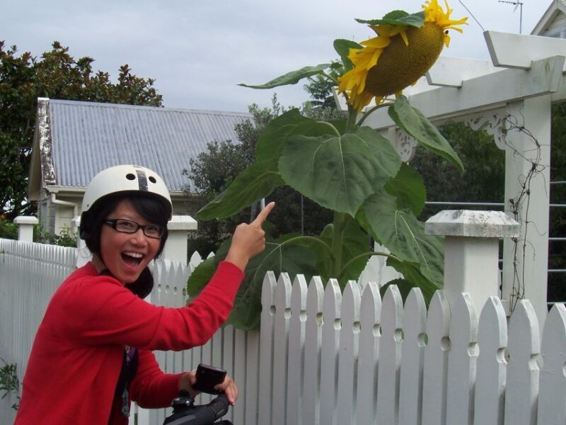 Auckland: Devonport Village Segway Tour - FAQ