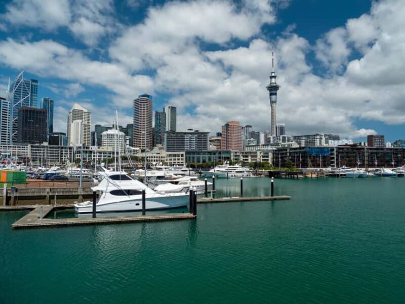 Auckland Family Tales: Private Stroll in the City of Sails - The Sum Up: Why Choose This Tour?