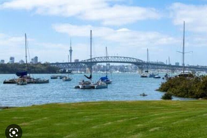 Auckland Full Day Attractions & Museums Tour - The Value Proposition: Is It Worth It?