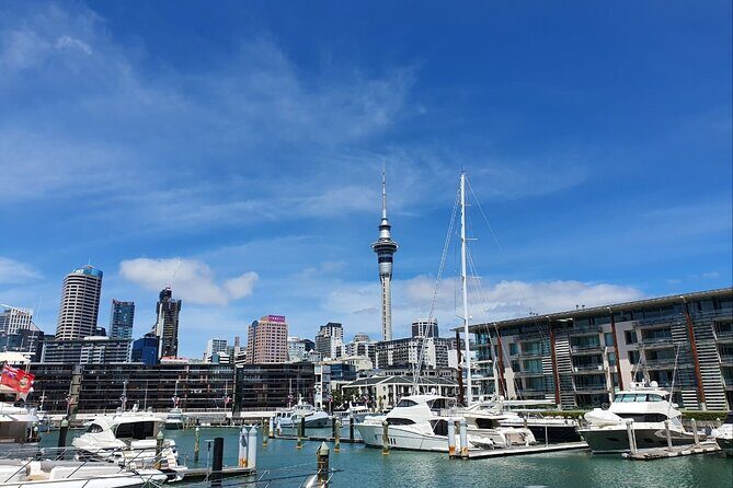 Auckland Full Day Attractions & Museums Tour - The Sum Up: Who Should Book This Tour?