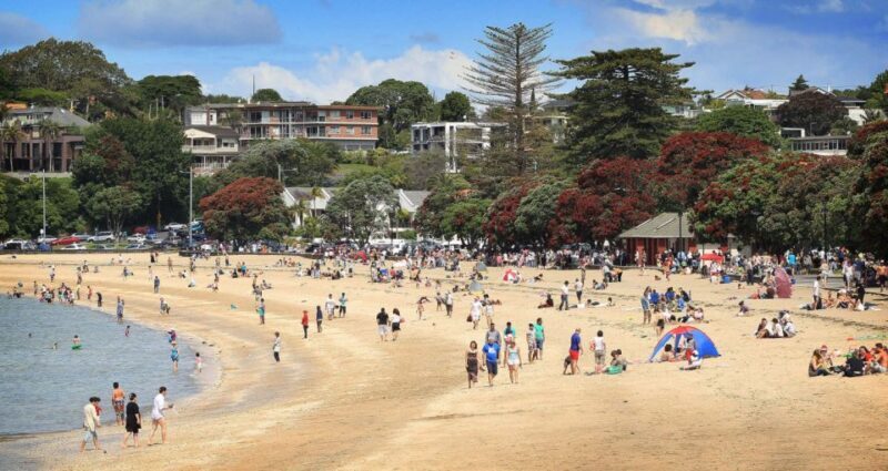 Auckland: Full-Day City Tour - Exploring Auckland in a Day: What You Can Expect